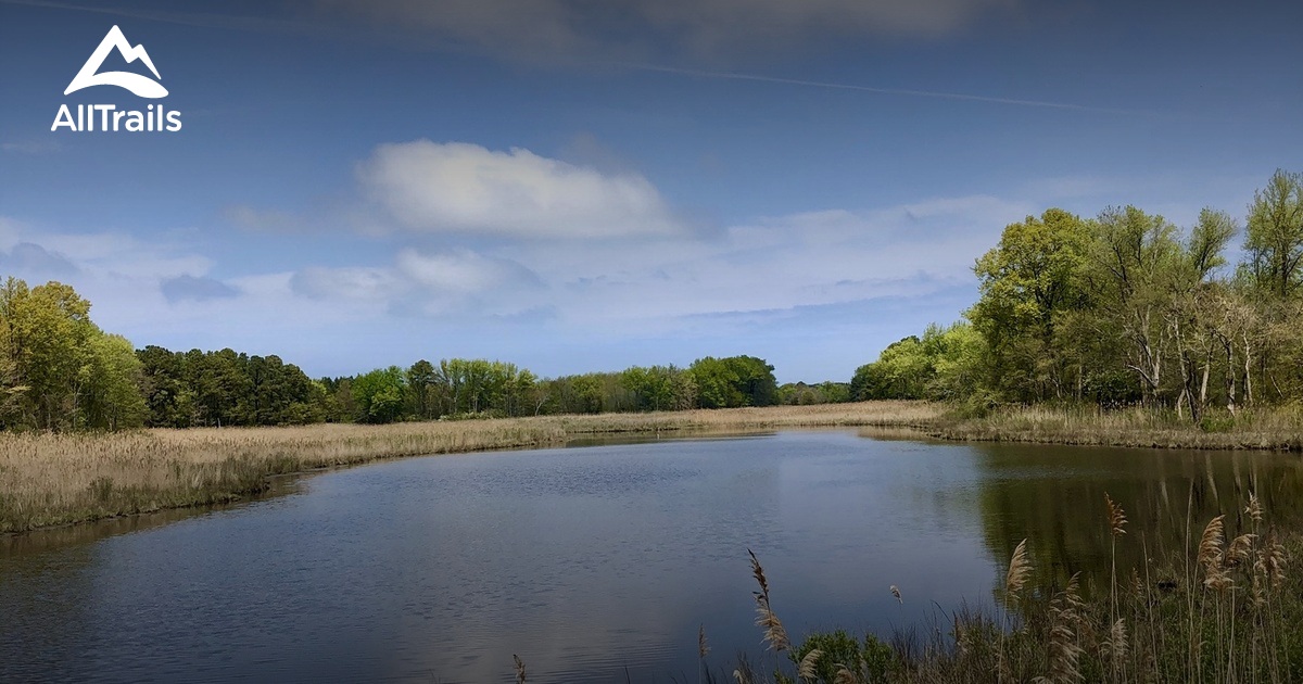 Best hikes and trails in Grasonville | AllTrails