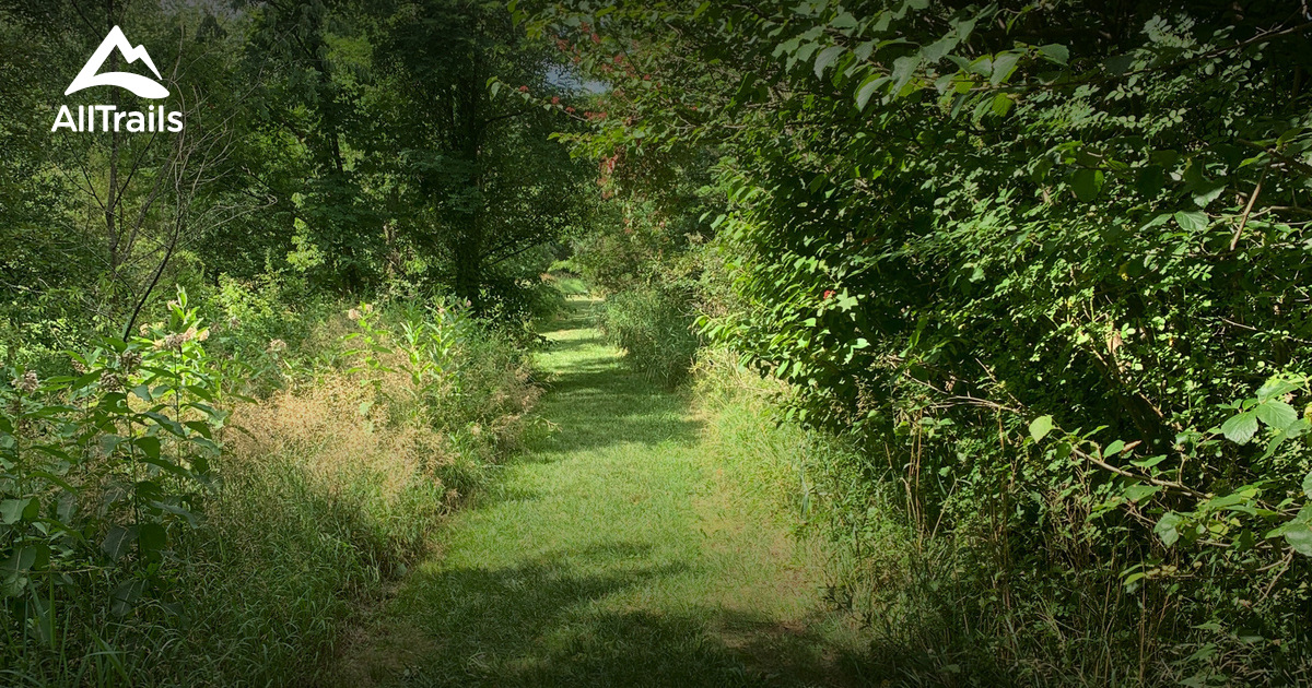 Best hikes and trails in Laytonsville | AllTrails