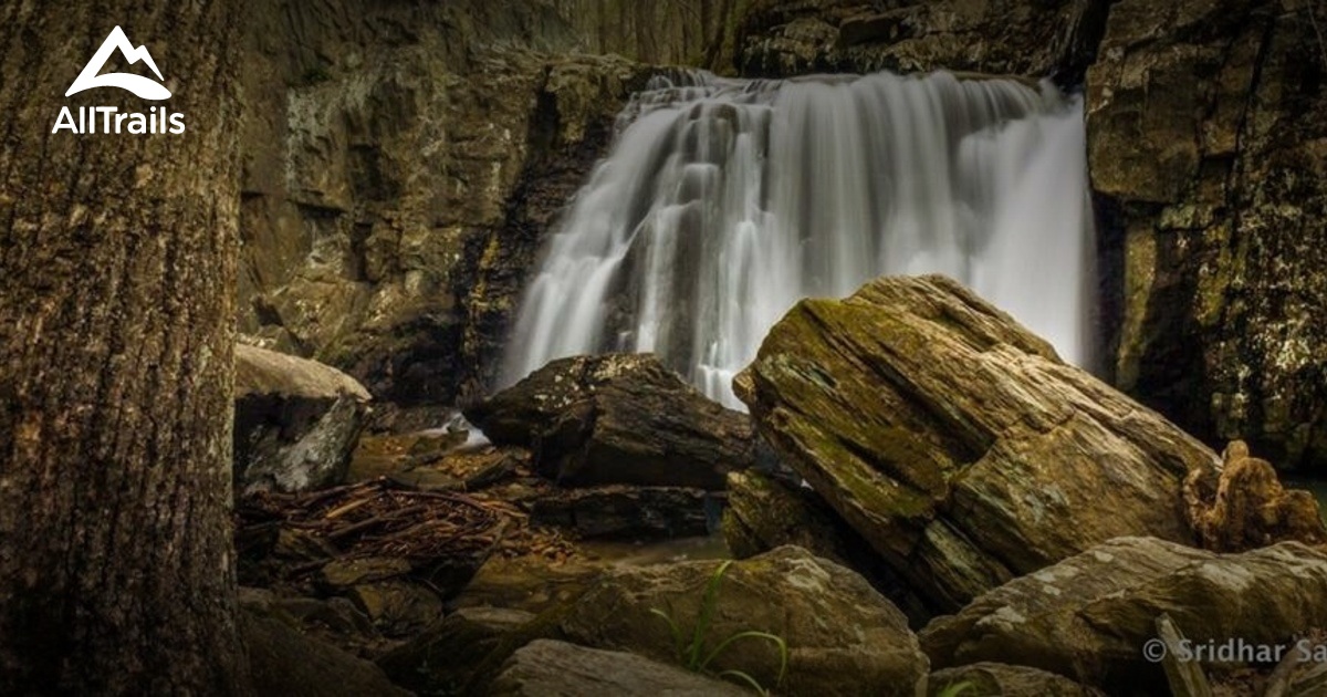 Best hikes and trails in Pylesville | AllTrails