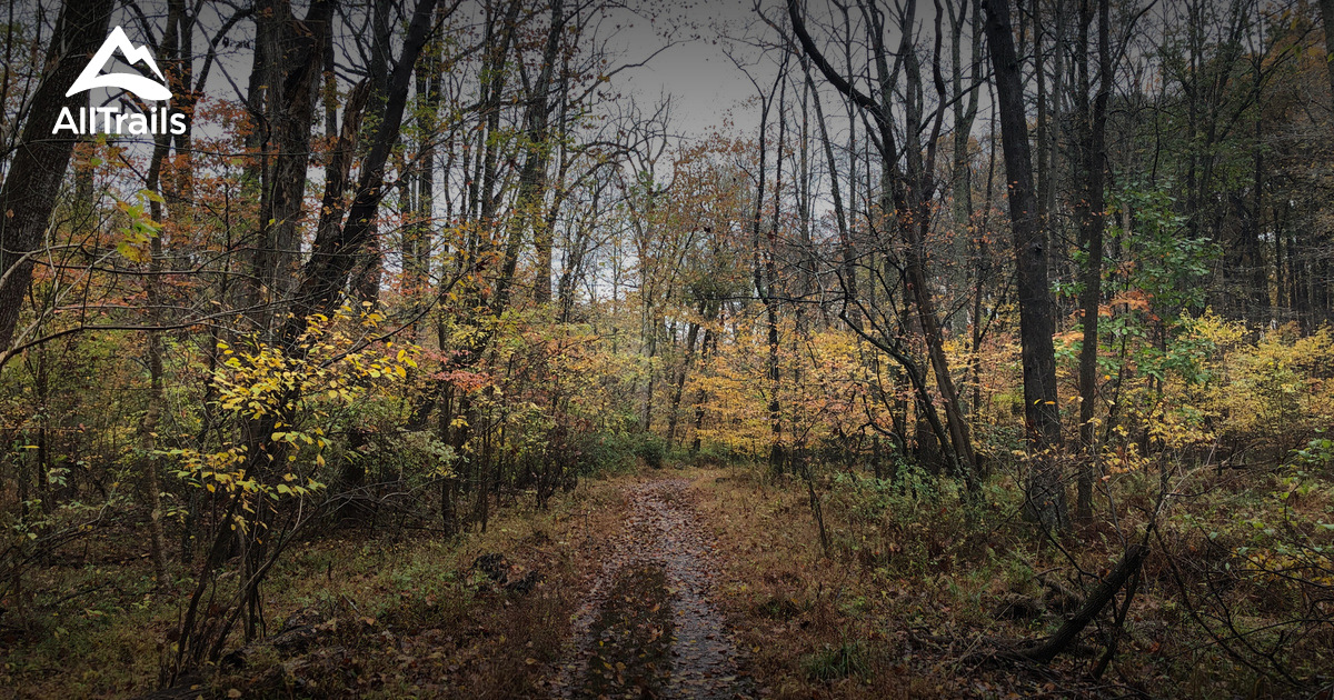 10 Best trails and hikes in Silver Spring | AllTrails