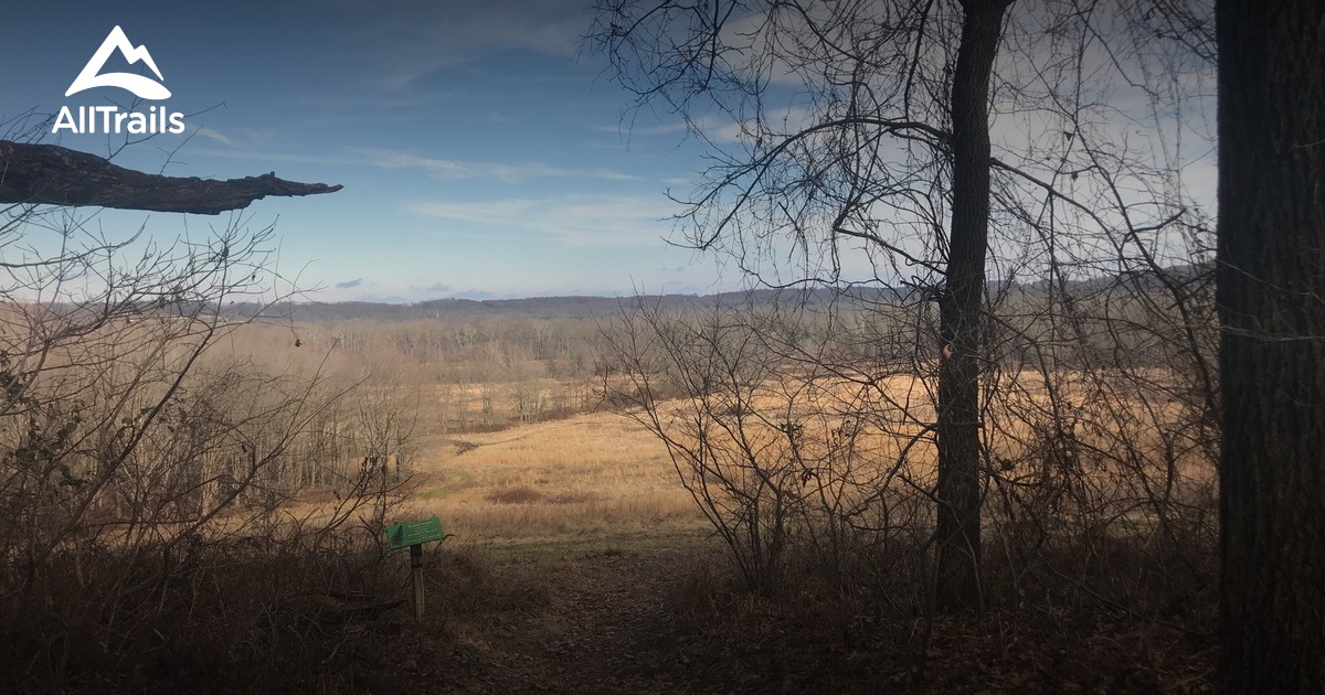 Best hikes and trails in Stevenson | AllTrails