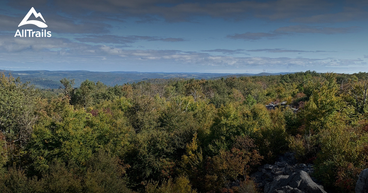 Best hikes and trails in Westernport | AllTrails