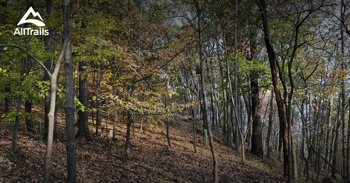 Best hikes and trails in Woodsboro | AllTrails
