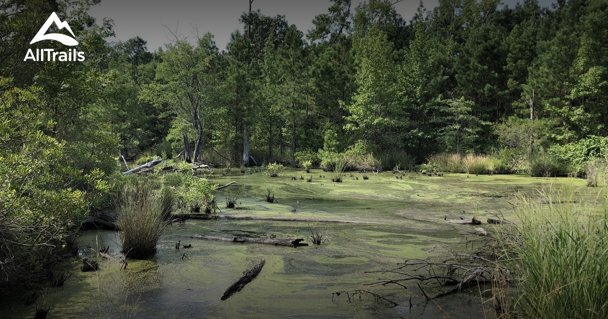 Best hikes and trails in Woolford | AllTrails