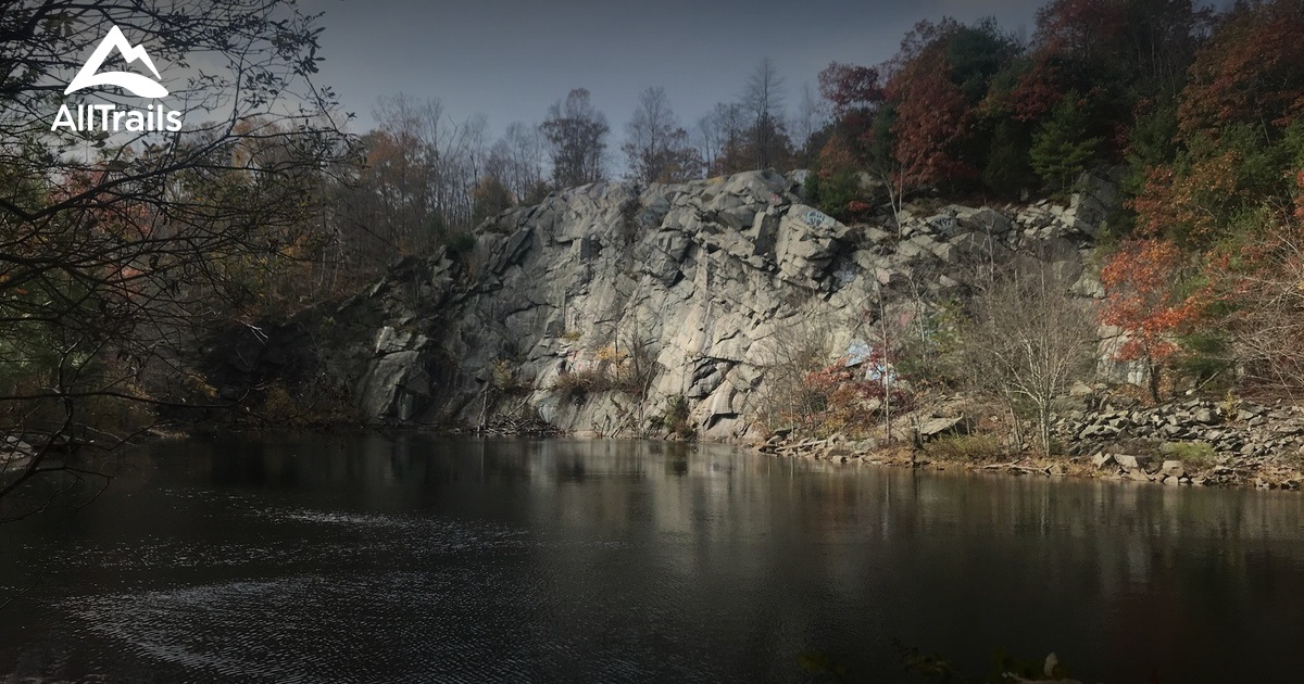 Best forest trails in Assonet | AllTrails