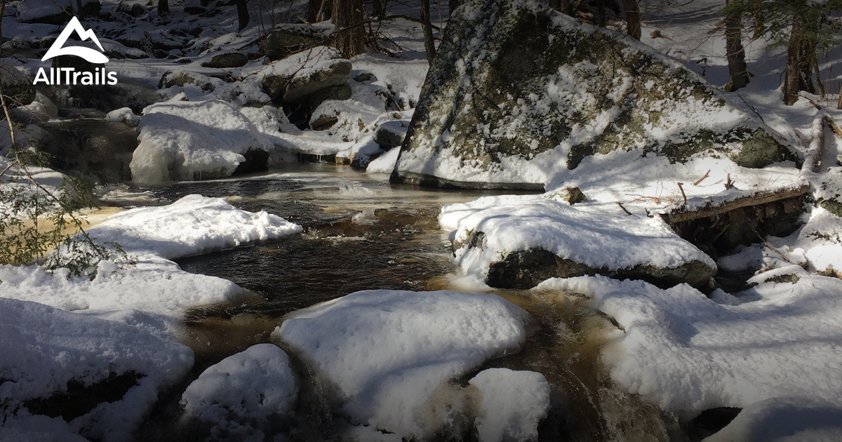10 Best forest trails in Athol | AllTrails