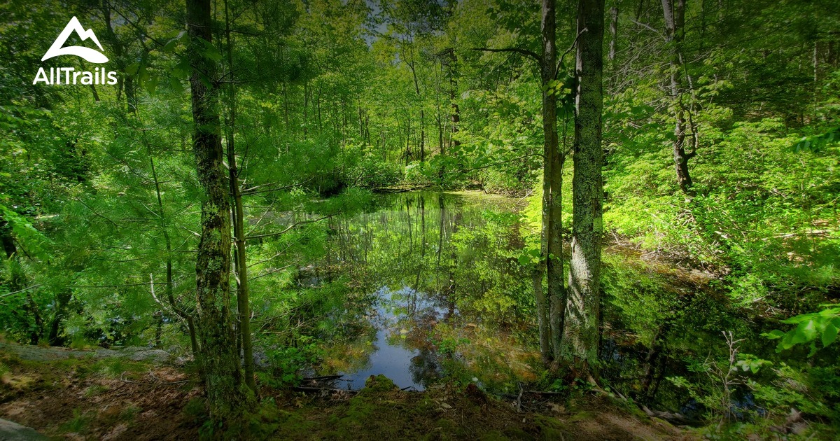 I migliori sentieri panoramici in Beverly | AllTrails