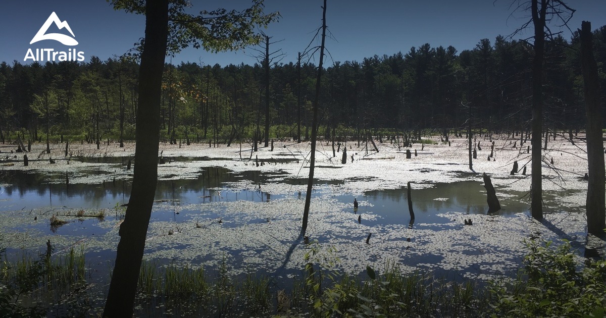 Best Trails near Bolton, Massachusetts | AllTrails