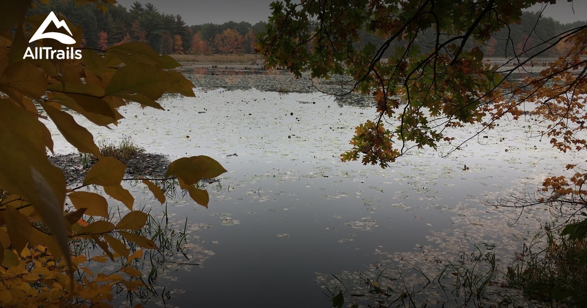 10 Best forest trails in Boxborough | AllTrails