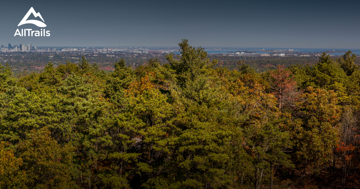 Best wildflower trails in Canton | AllTrails