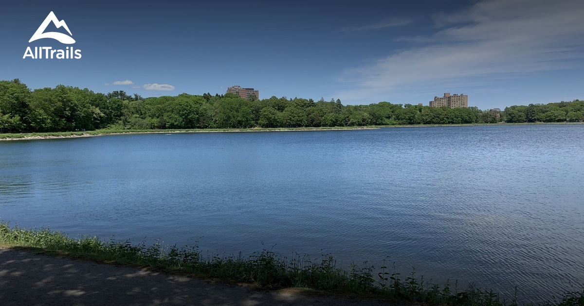 10 Best trails and hikes in Chestnut Hill | AllTrails