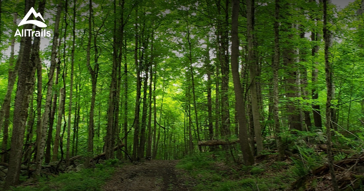 2023 Best Views Trails in Conway | AllTrails