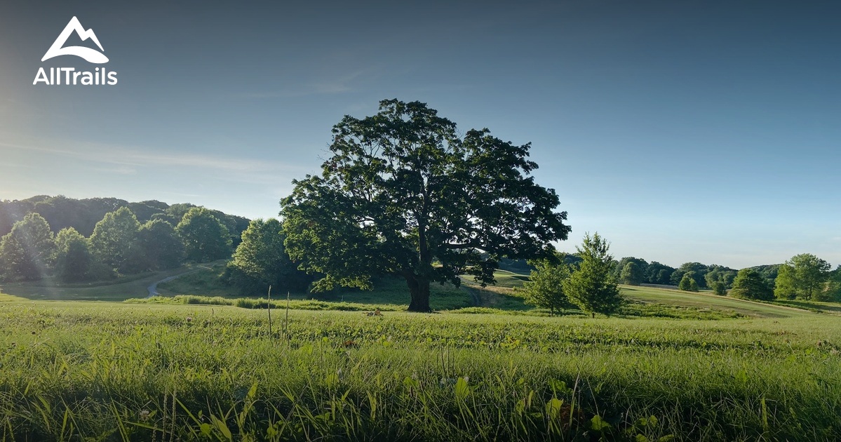 De beste kinderwagenvriendelijke routes in Dorchester | AllTrails