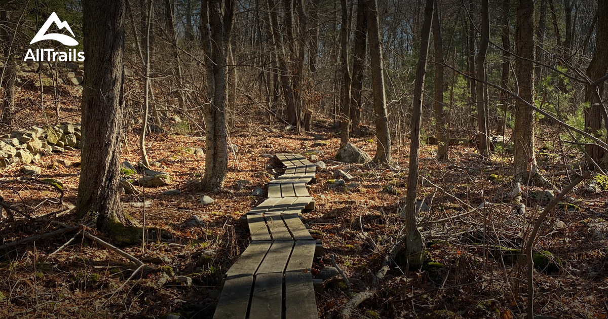 Best forest trails in Fayville | AllTrails