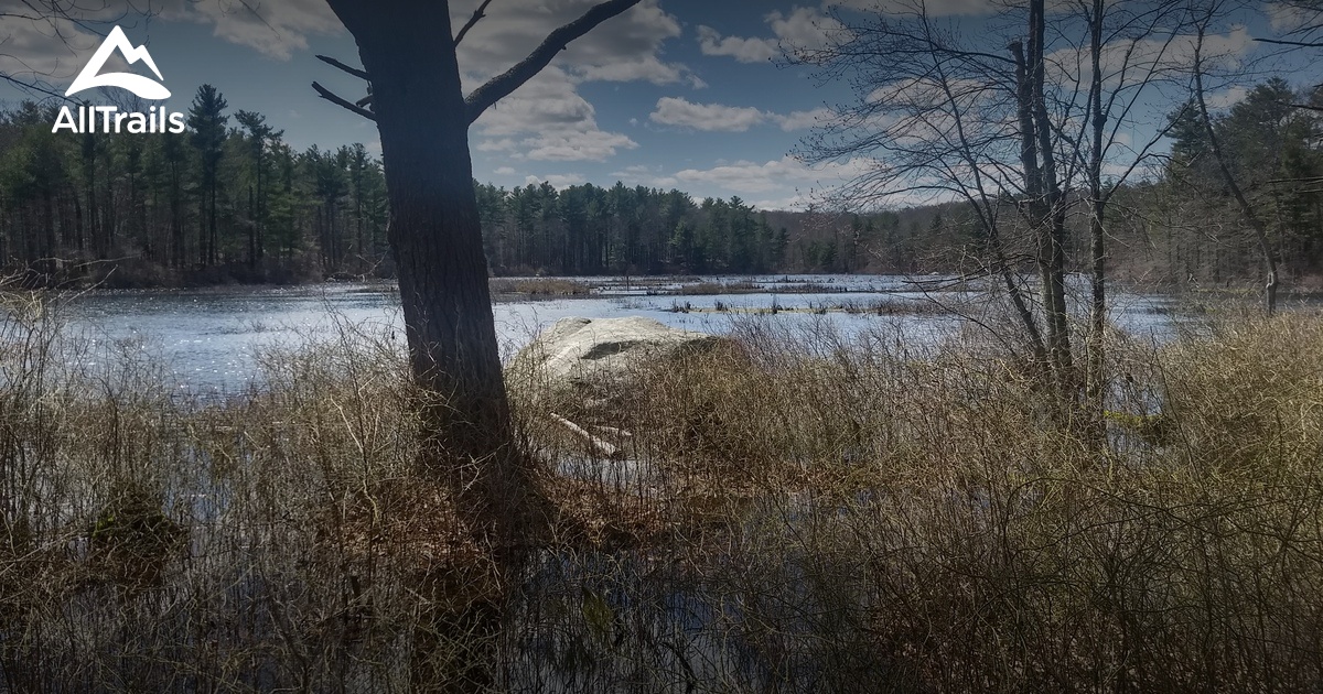 10 Best trails and hikes in Foxborough | AllTrails