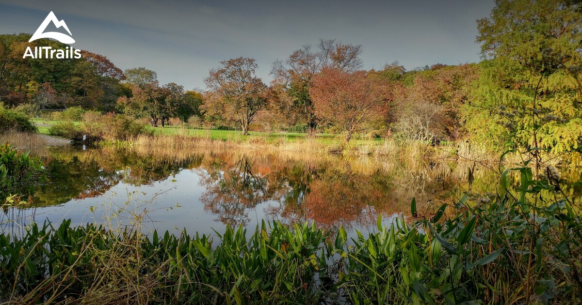 Best walking trails in Jamaica Plain | AllTrails