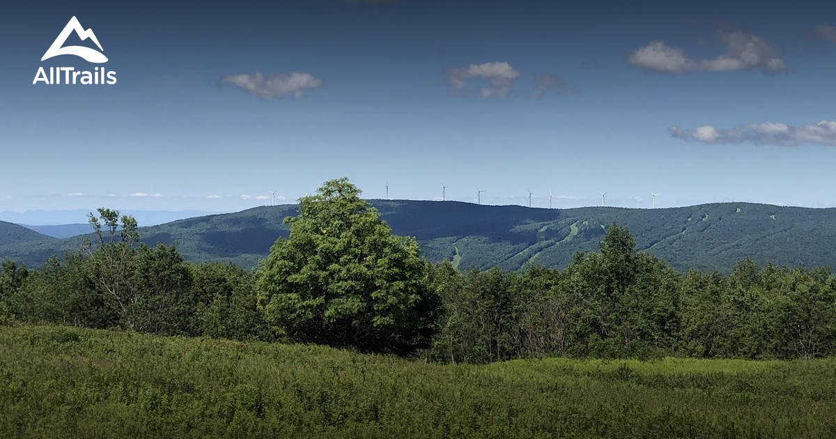 Best hikes and trails in Lanesborough | AllTrails