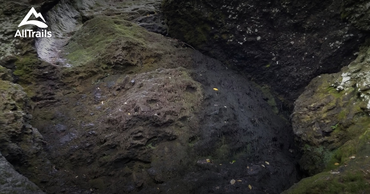 10 Best trails and hikes in Leverett | AllTrails