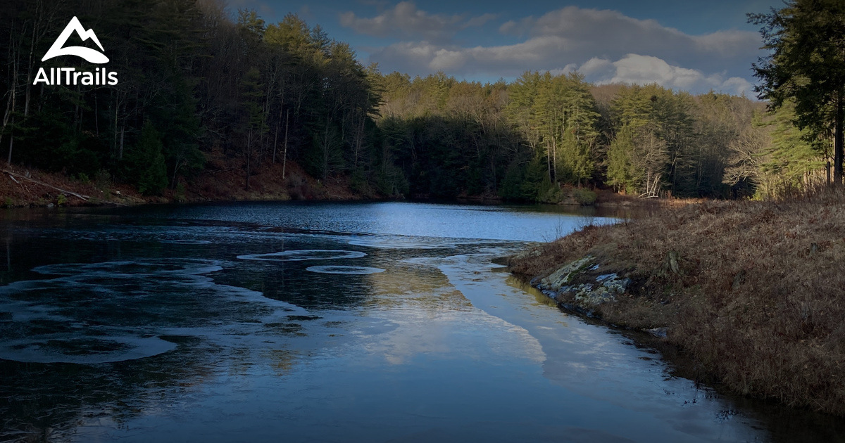 Best hikes and trails in Leyden | AllTrails