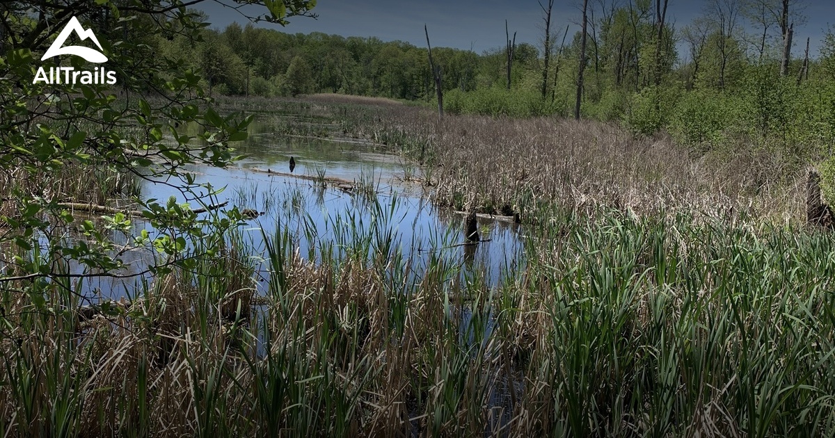 Best hikes and trails in Longmeadow | AllTrails