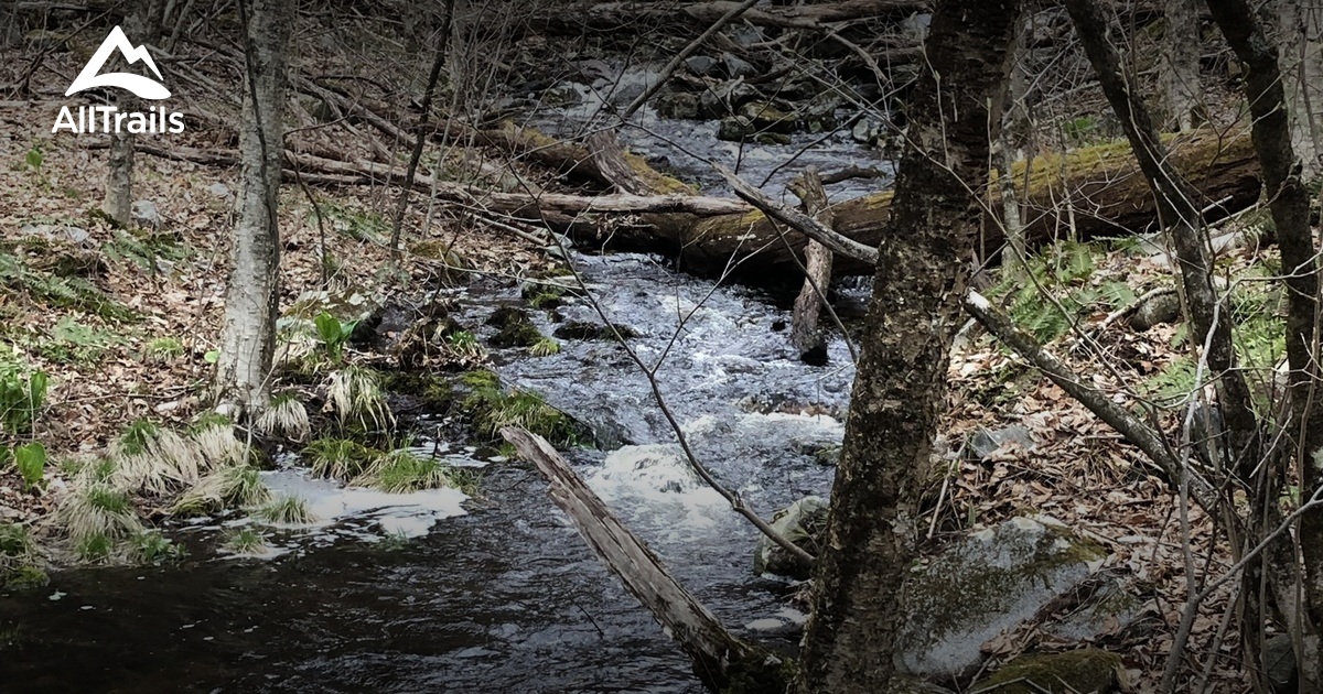 Best Trails near Ludlow, Massachusetts | AllTrails