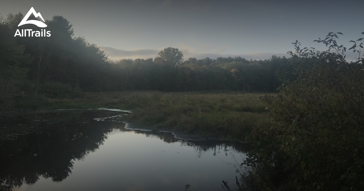 Best hikes and trails in Medway | AllTrails