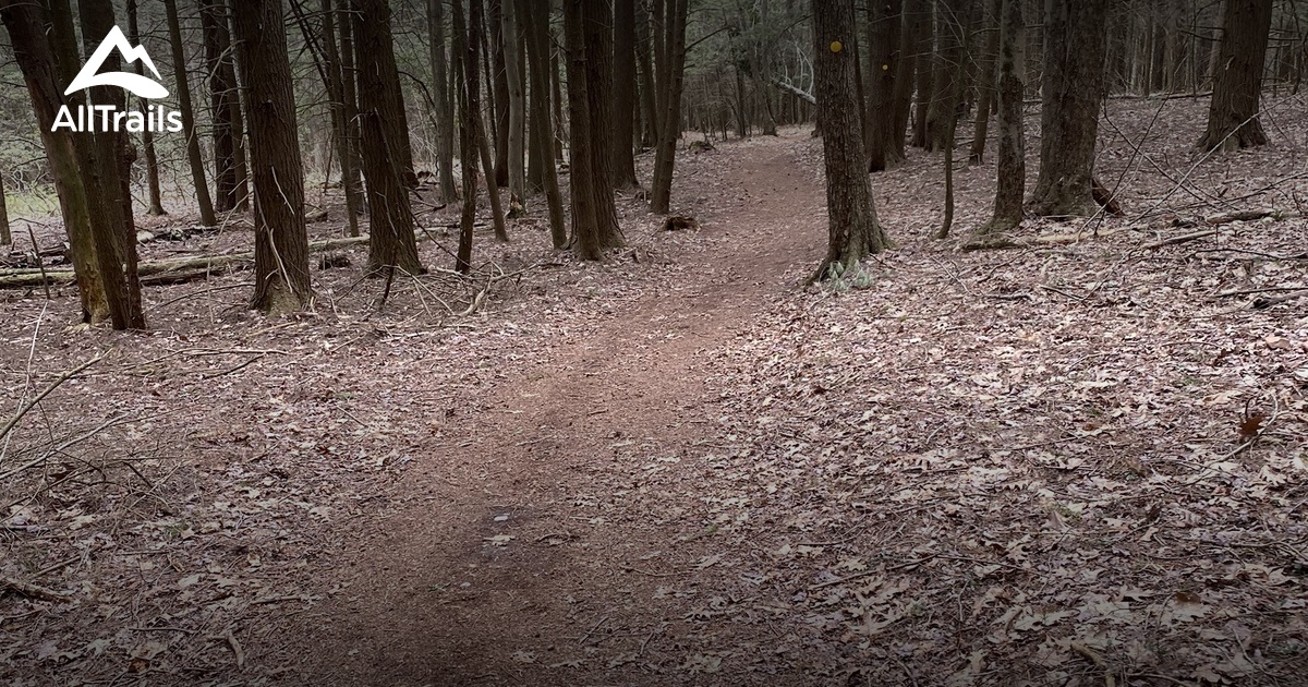 Die Besten Kinderfreundlichen Routen in Mill River | AllTrails