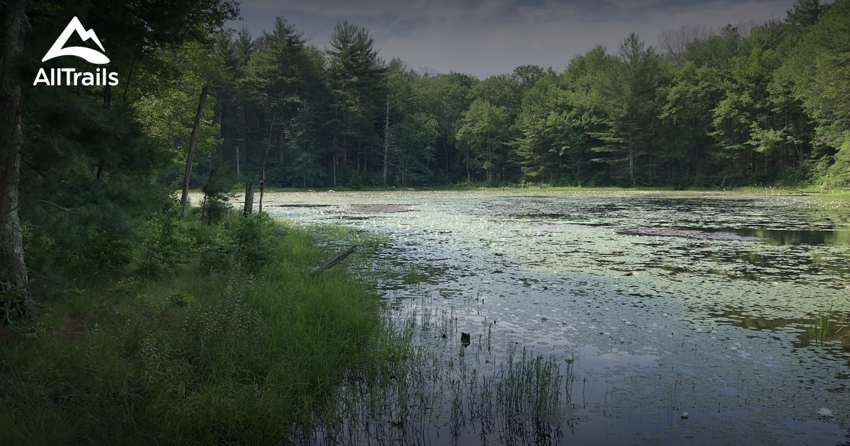 Best Trails near Monson, Massachusetts | AllTrails