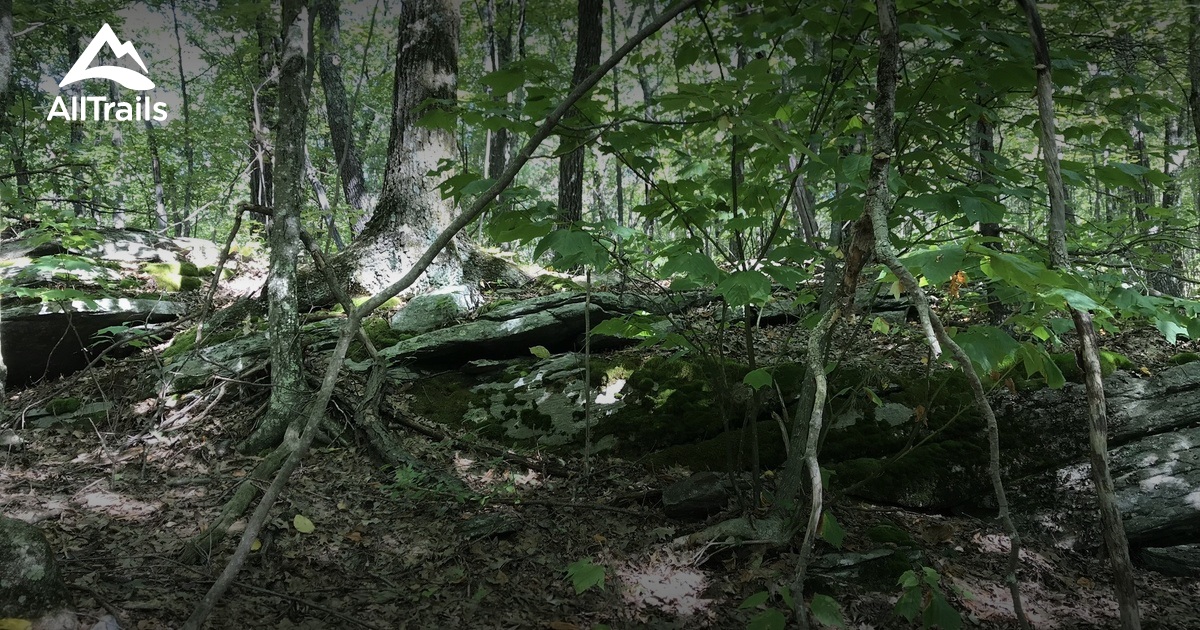 Best river trails in Montague | AllTrails