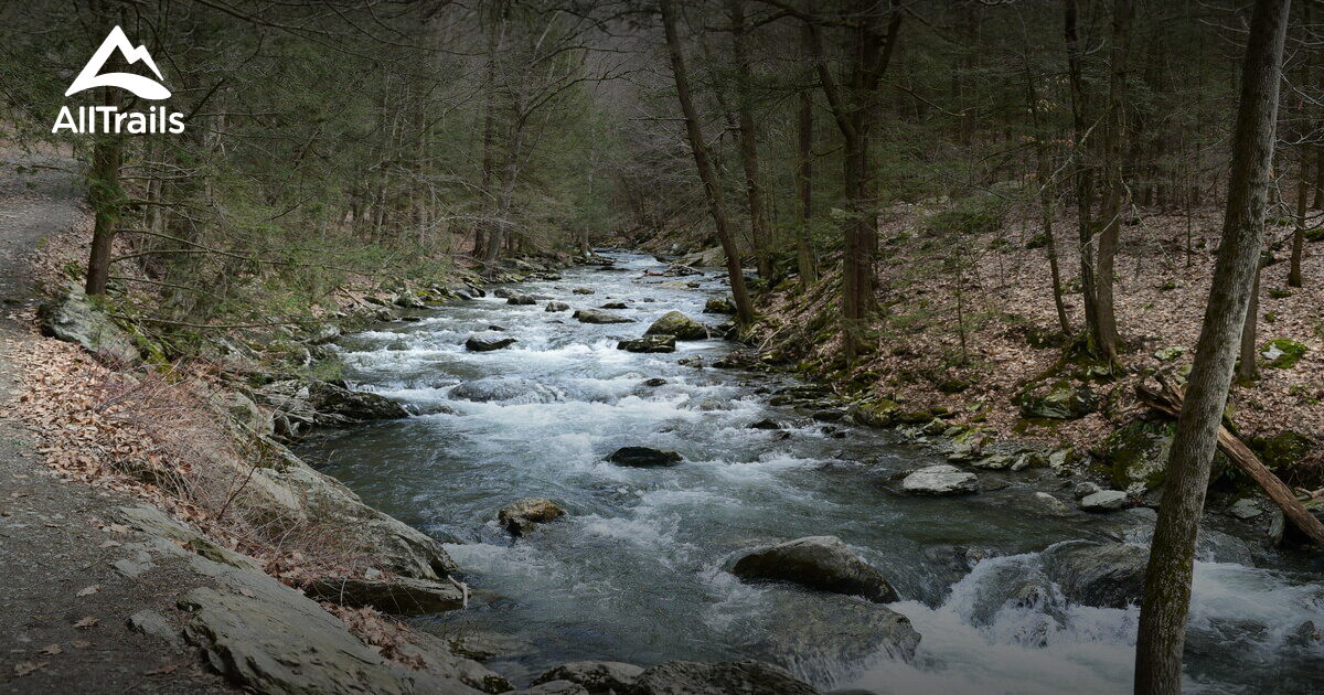 Best hikes and trails in Mount Washington | AllTrails