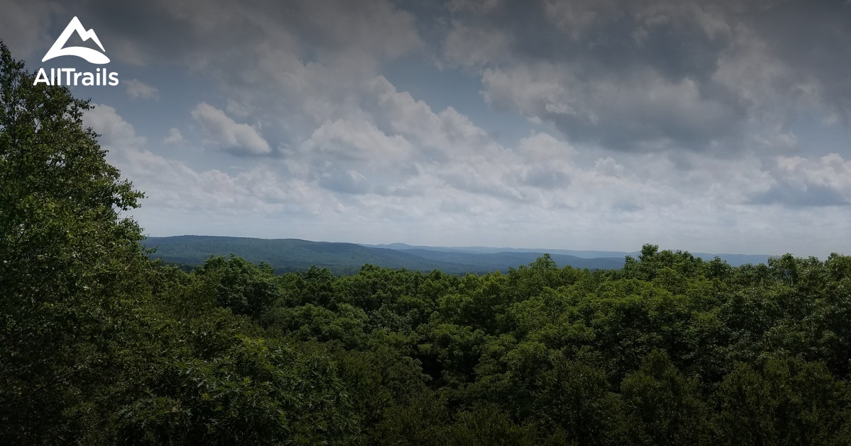 Best forest trails in New Marlborough | AllTrails