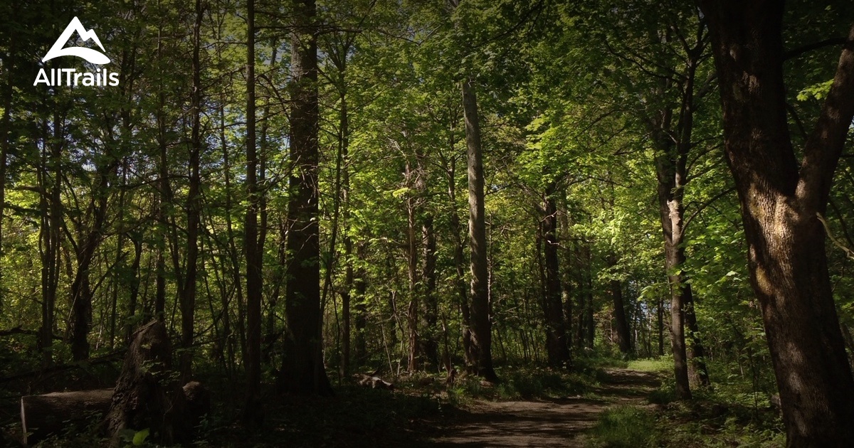 10 Best forest trails in Newbury | AllTrails