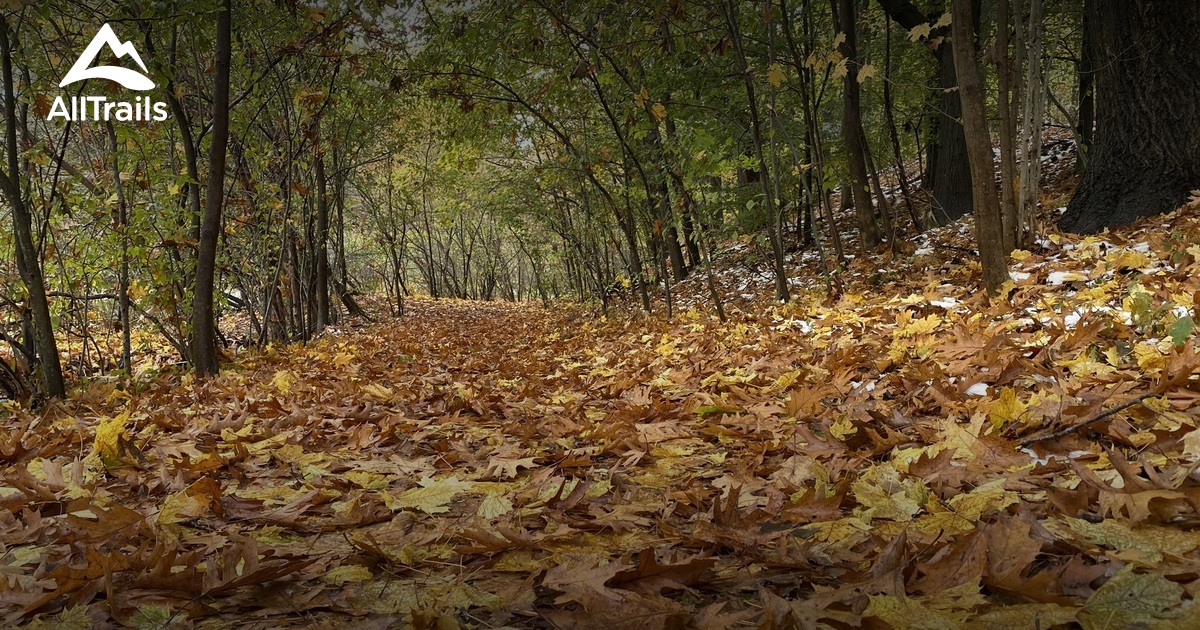 Best hikes and trails in Newtonville | AllTrails