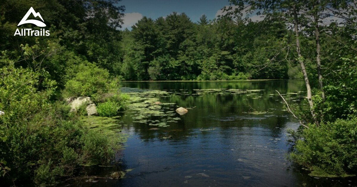 Best forest trails in Norfolk | AllTrails