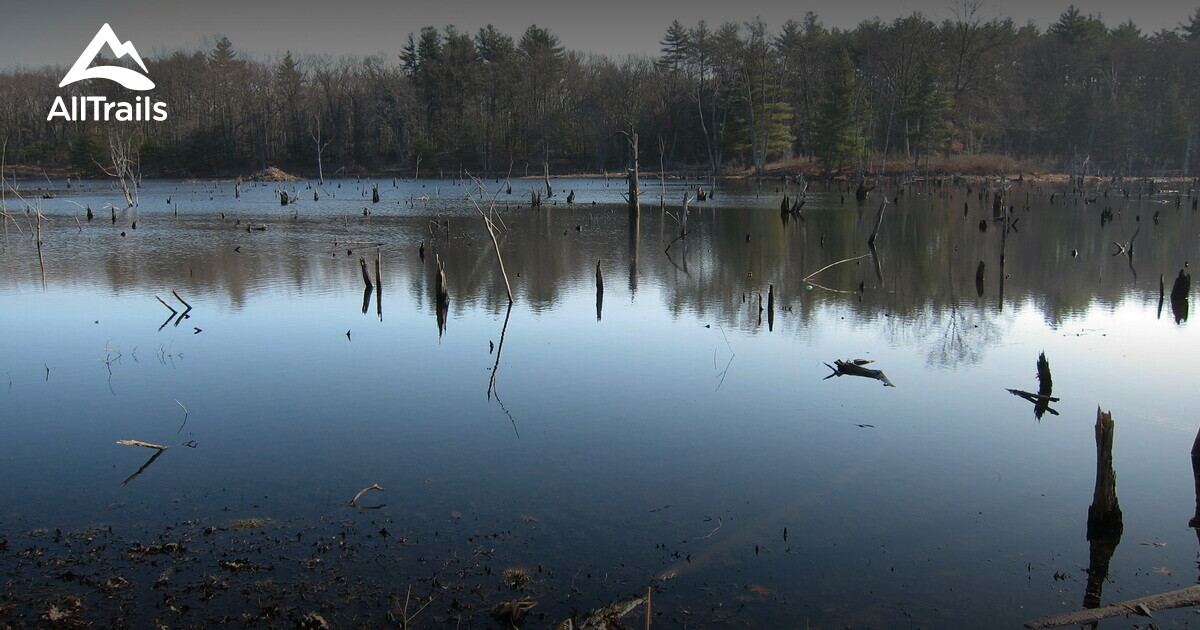 Best Bird Watching Trails in North Billerica | AllTrails