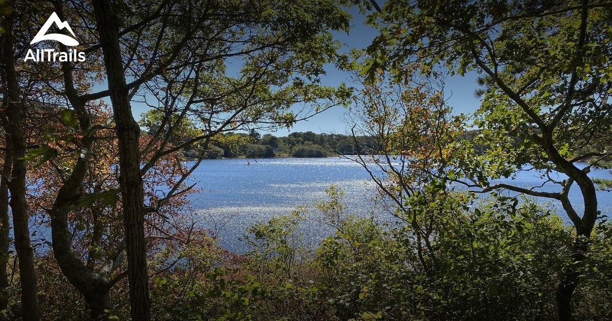 Best forest trails in North Chatham | AllTrails