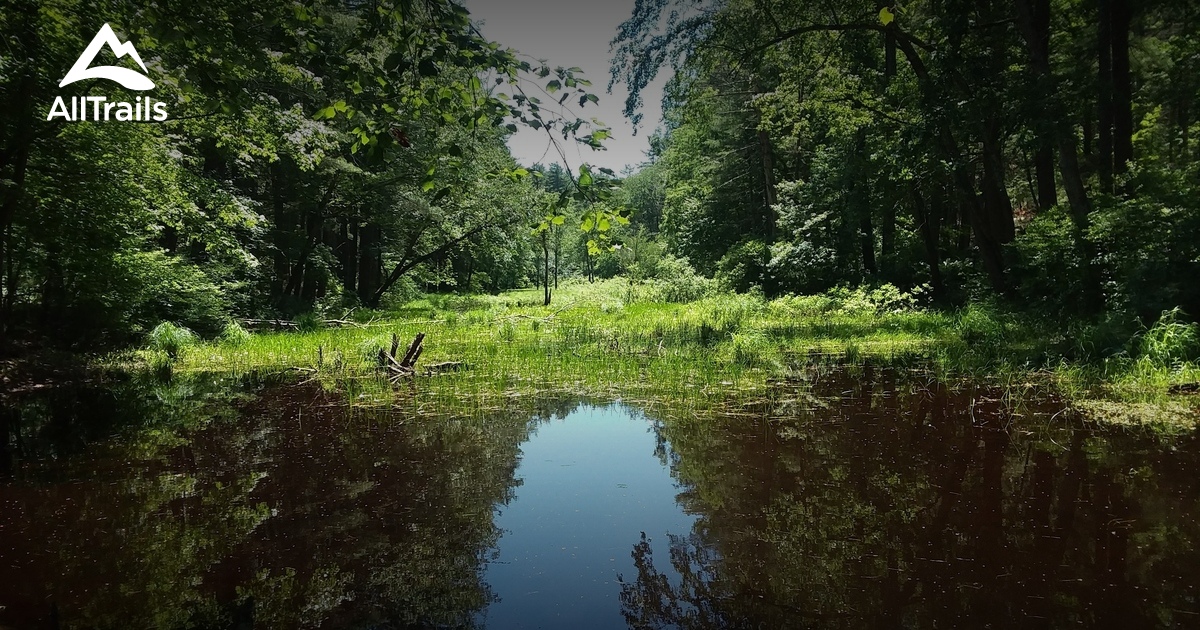 Best easy trails in Northbridge | AllTrails