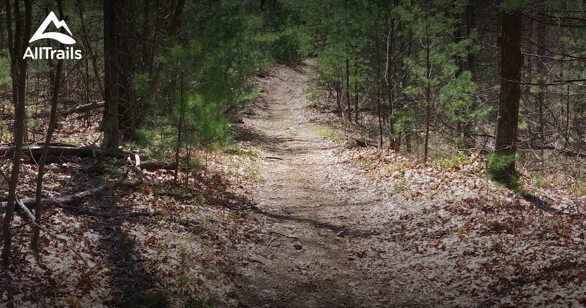 Best trail running trails in Palmer | AllTrails