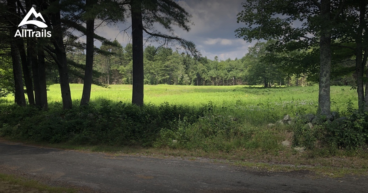 10 Best forest trails in Petersham | AllTrails