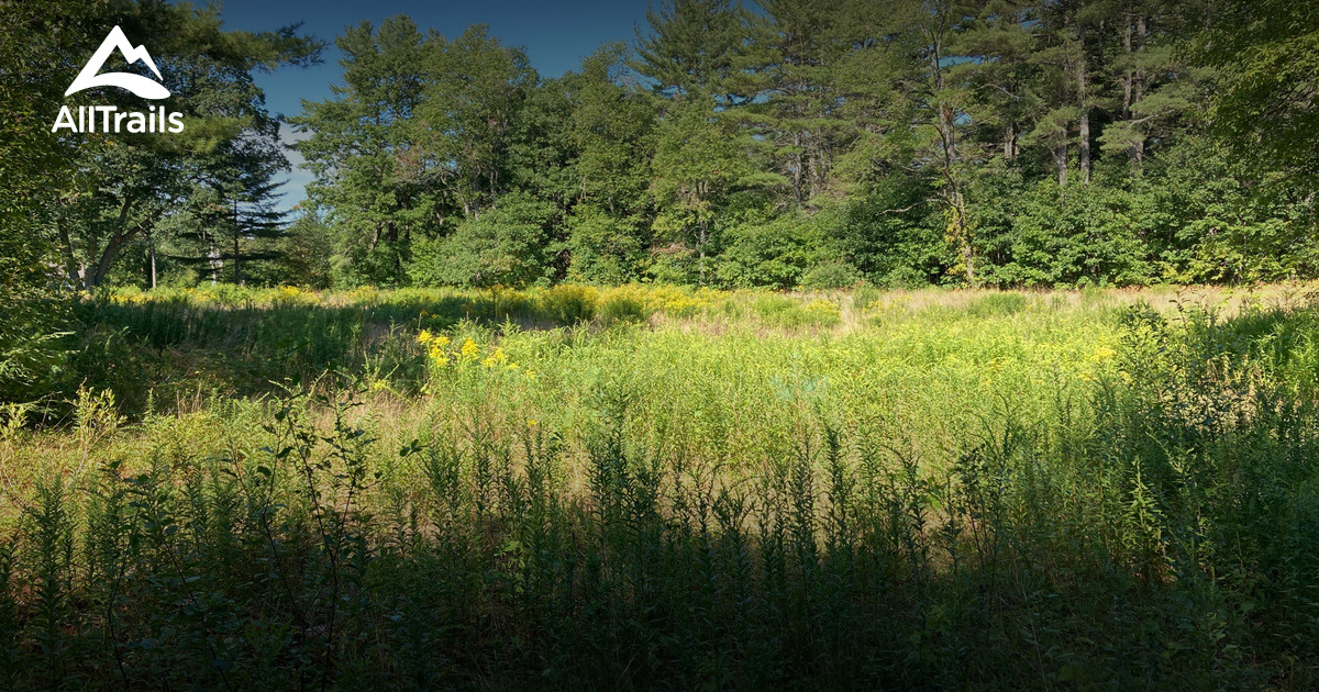 Best hikes and trails in Phillipston | AllTrails