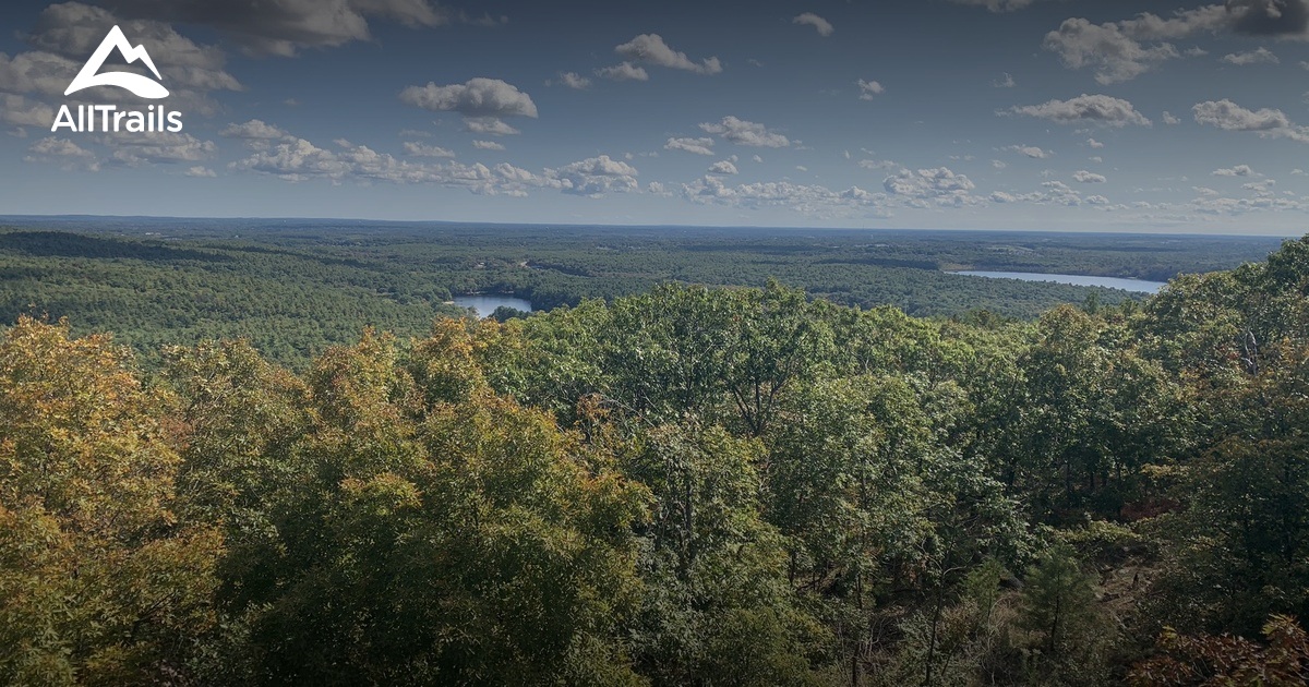 Best forest trails in Readville | AllTrails
