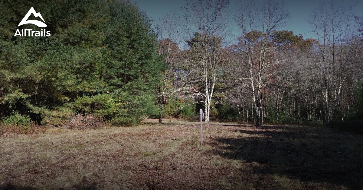 10 Best forest trails in Rehoboth | AllTrails