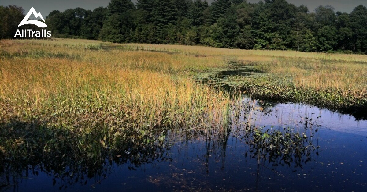 Best hikes and trails in South Easton | AllTrails