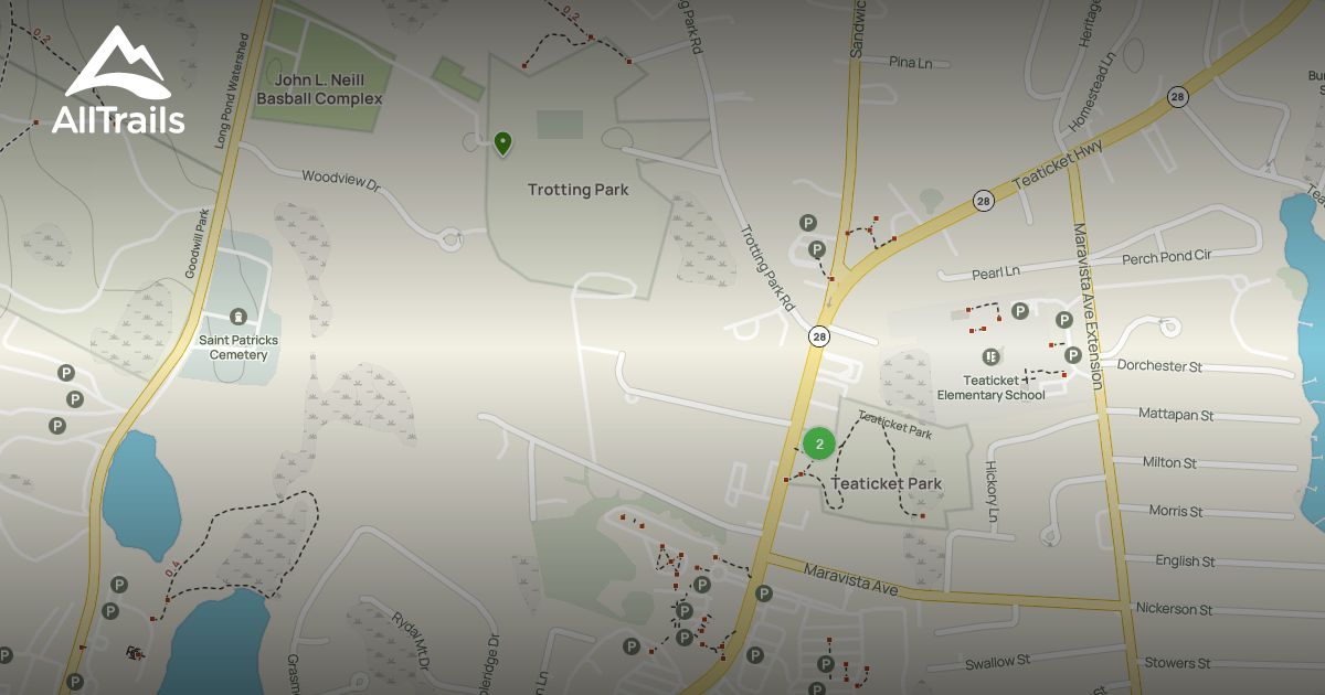 Best wildflower trails in Teaticket | AllTrails