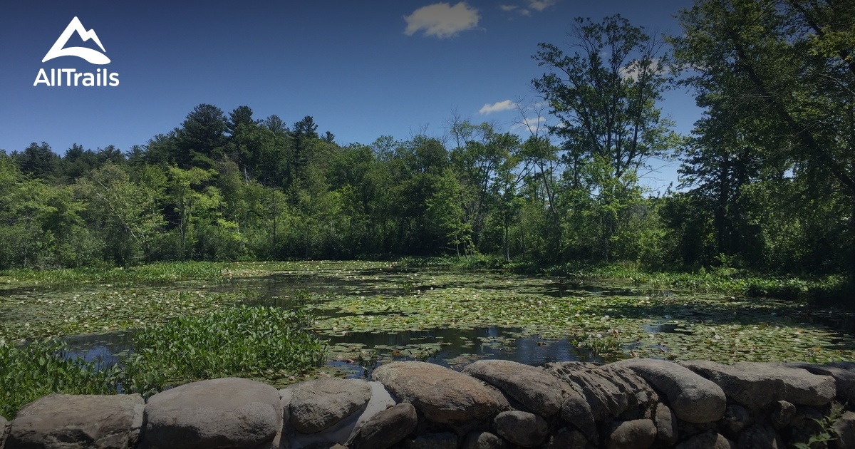 10 Best trails and hikes in Topsfield | AllTrails
