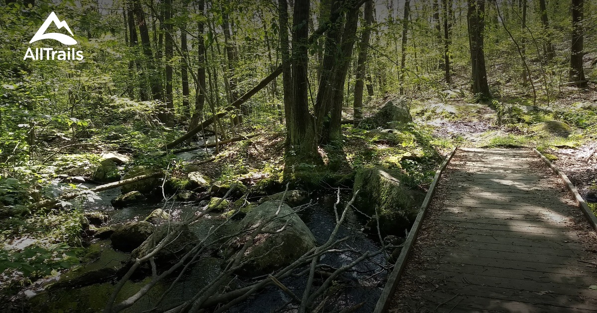 10 Best trails and hikes in Upton | AllTrails