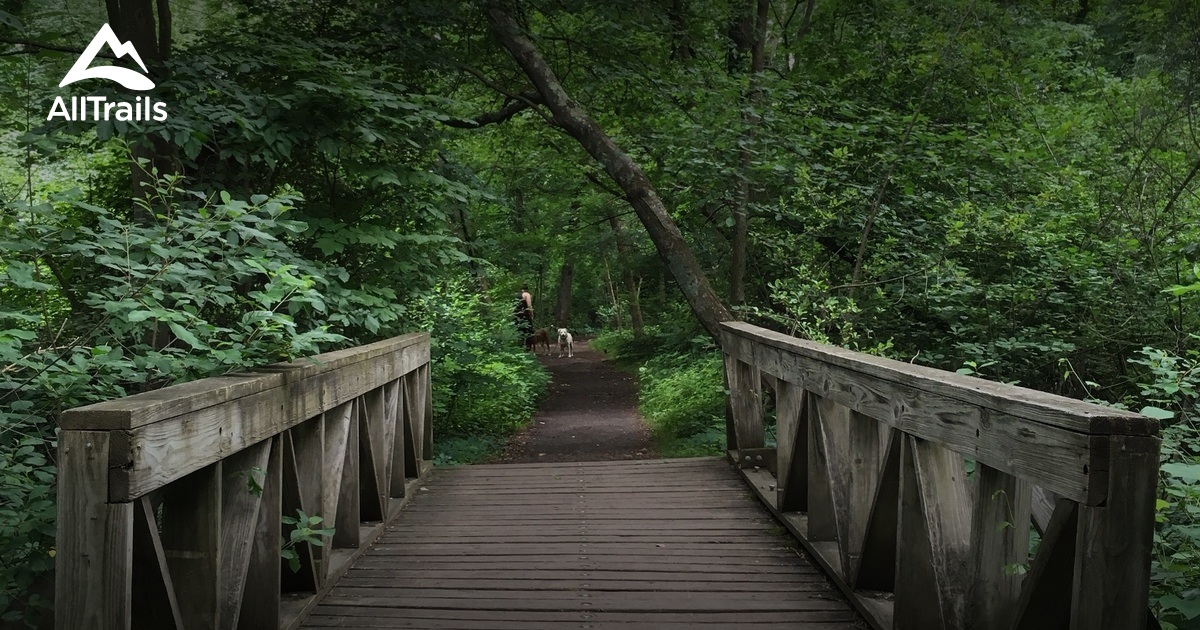 Best hikes and trails in Waban | AllTrails