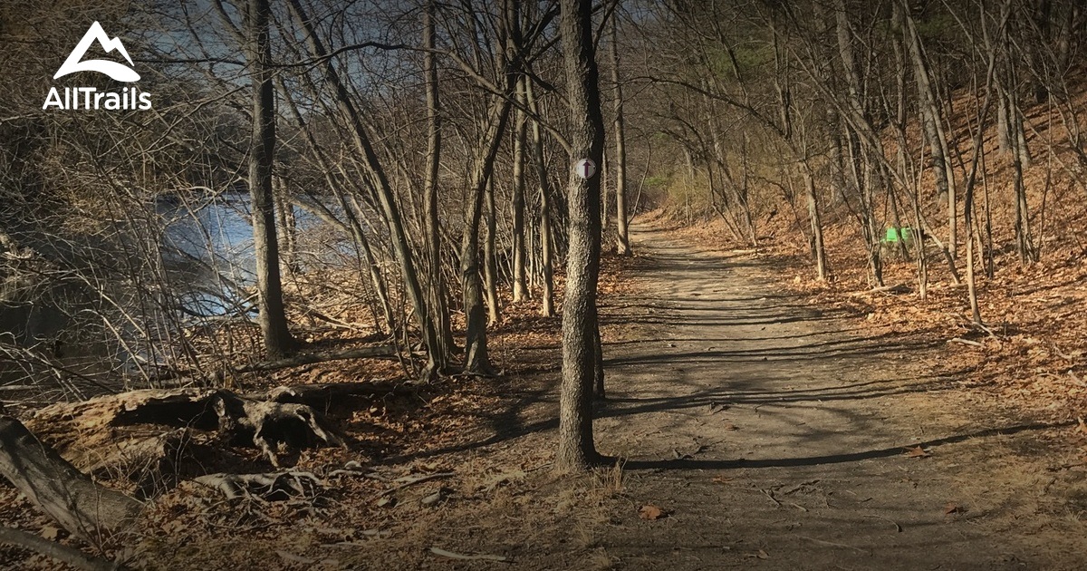 Best lake trails in Wellesley Hills | AllTrails