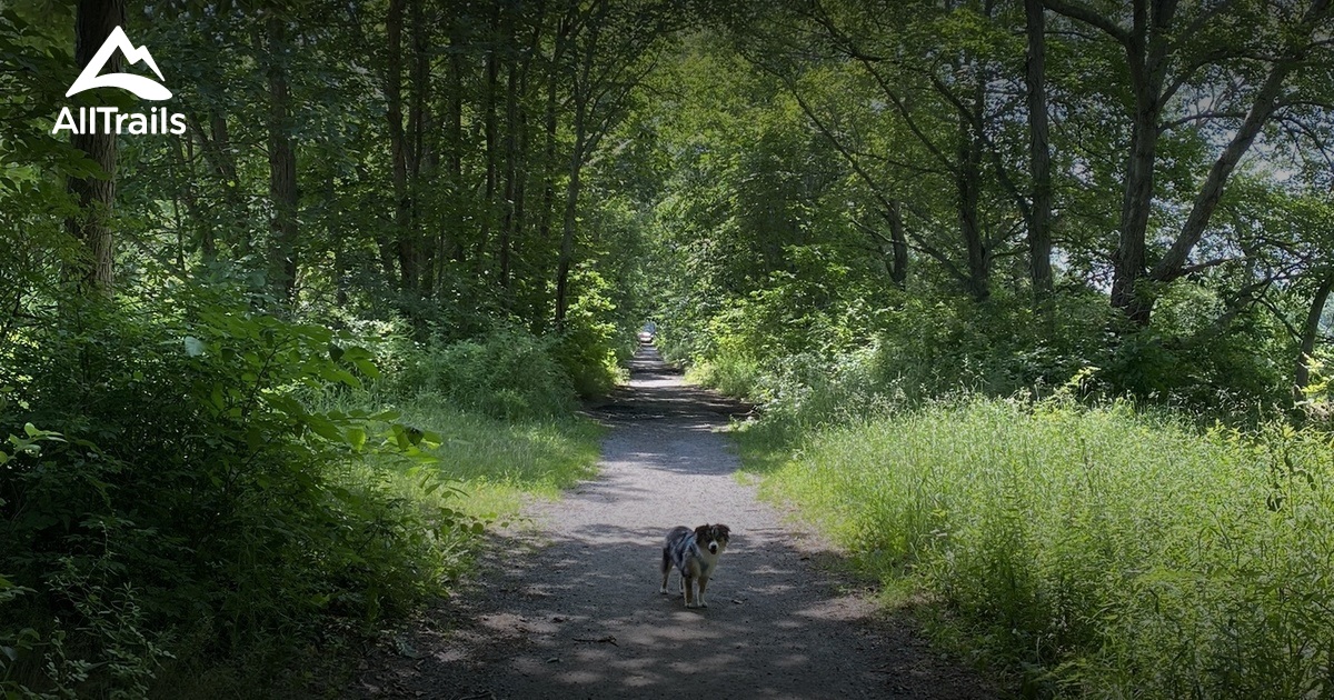 Best hikes and trails in West Bridgewater | AllTrails