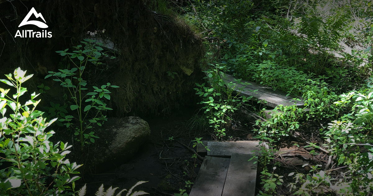 Best walking trails in West Wareham | AllTrails